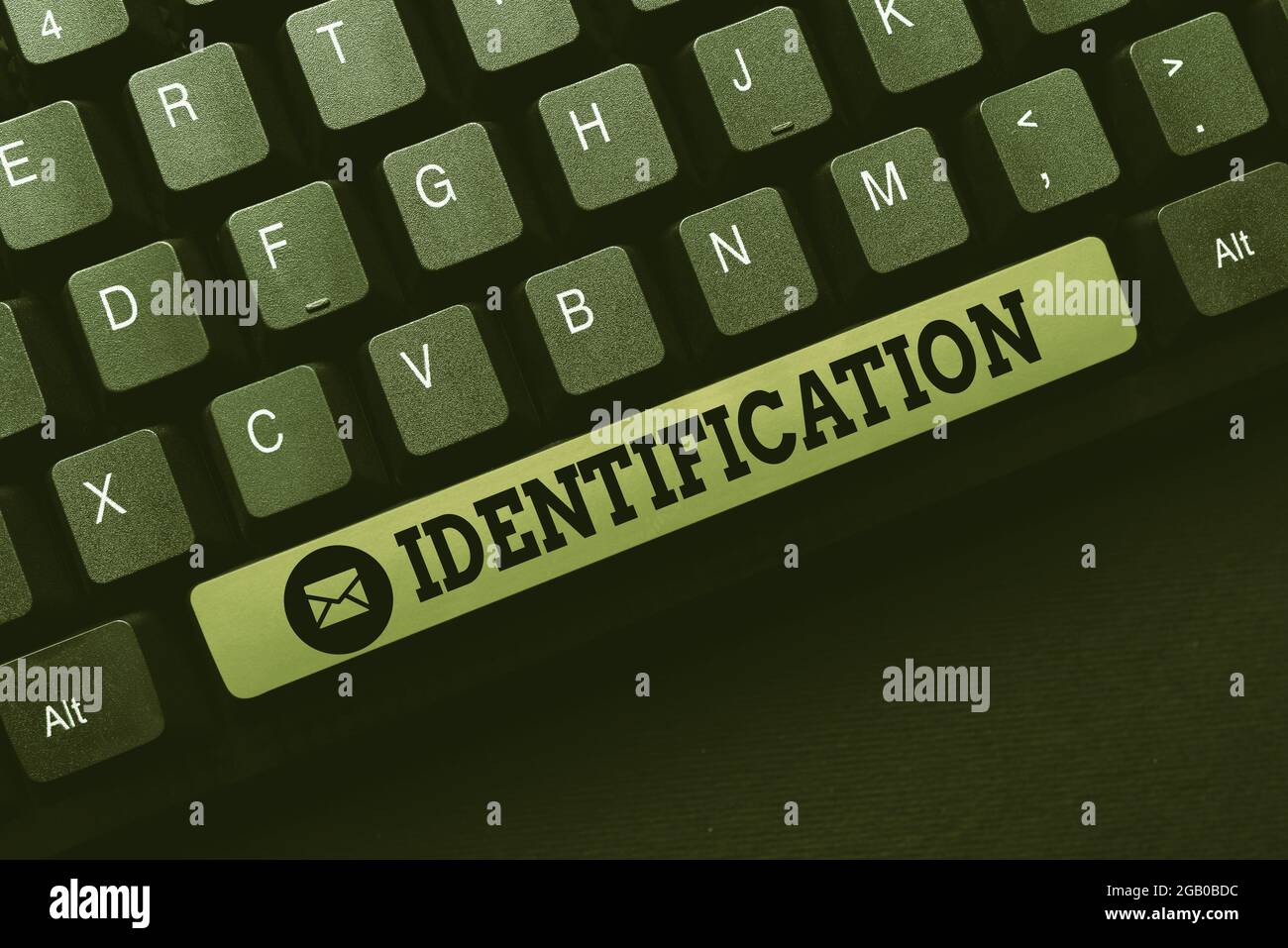 Conceptual display Identification. Word for an action or procedure to ...