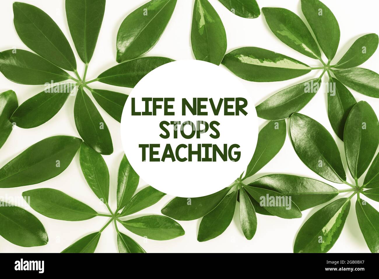 Text showing inspiration Life Never Stops Teaching. Business idea keep ...