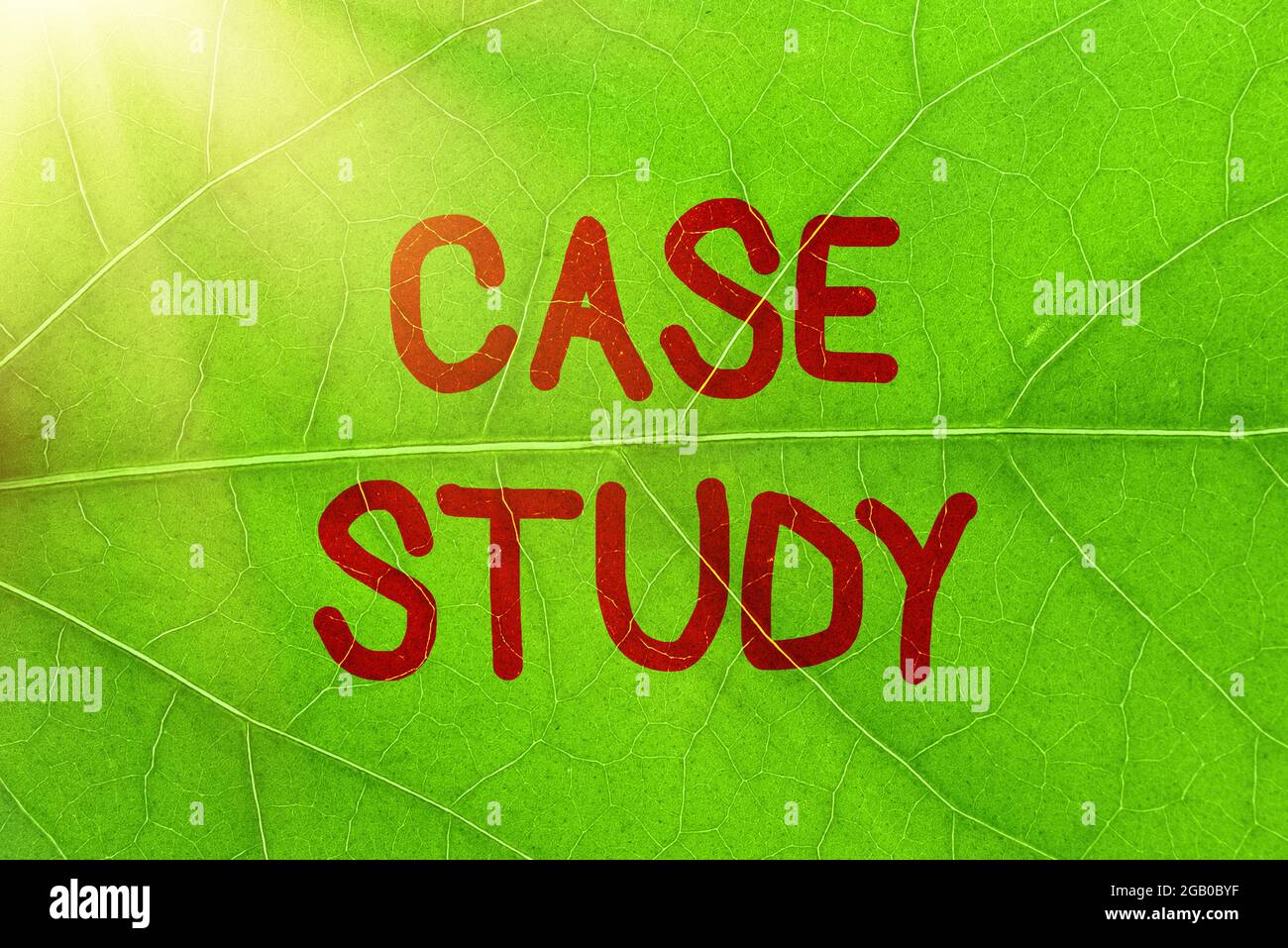 Sign displaying Case Study. Word for analysis and a specific research ...