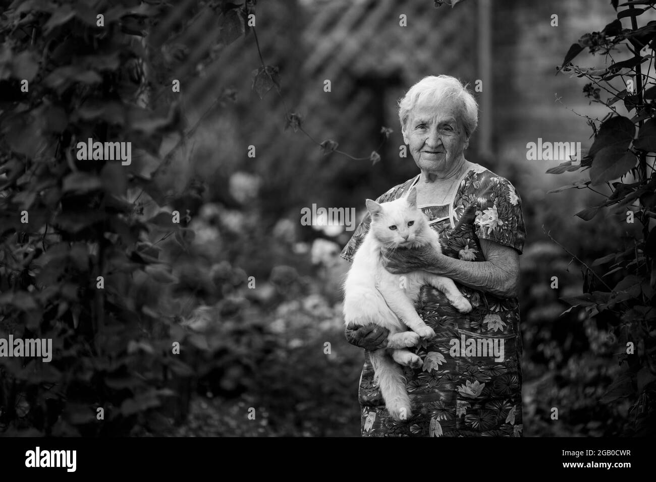 Old woman cat Black and White Stock Photos & Images - Alamy