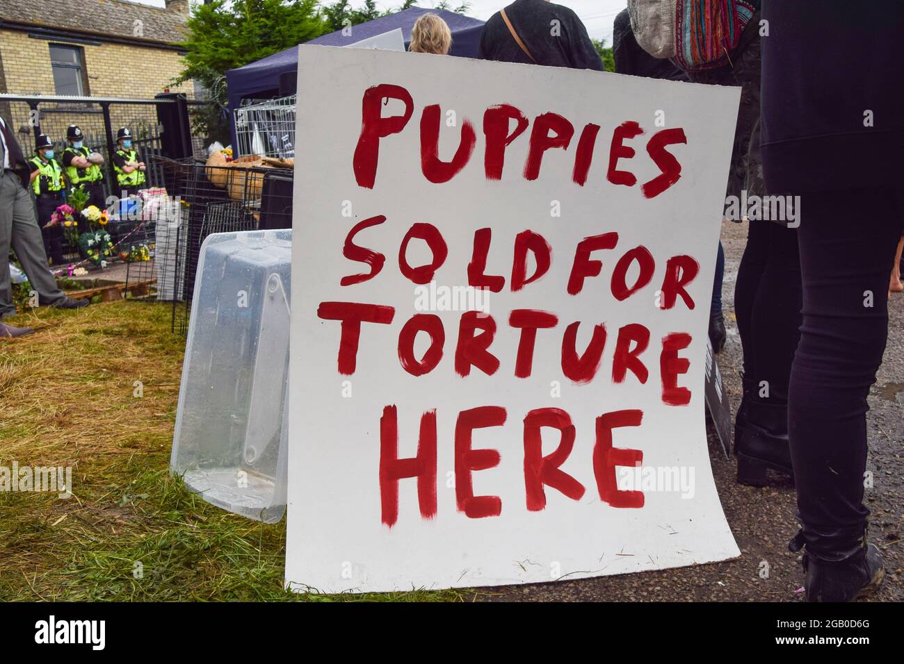 Animal injustice hi-res stock photography and images - Alamy