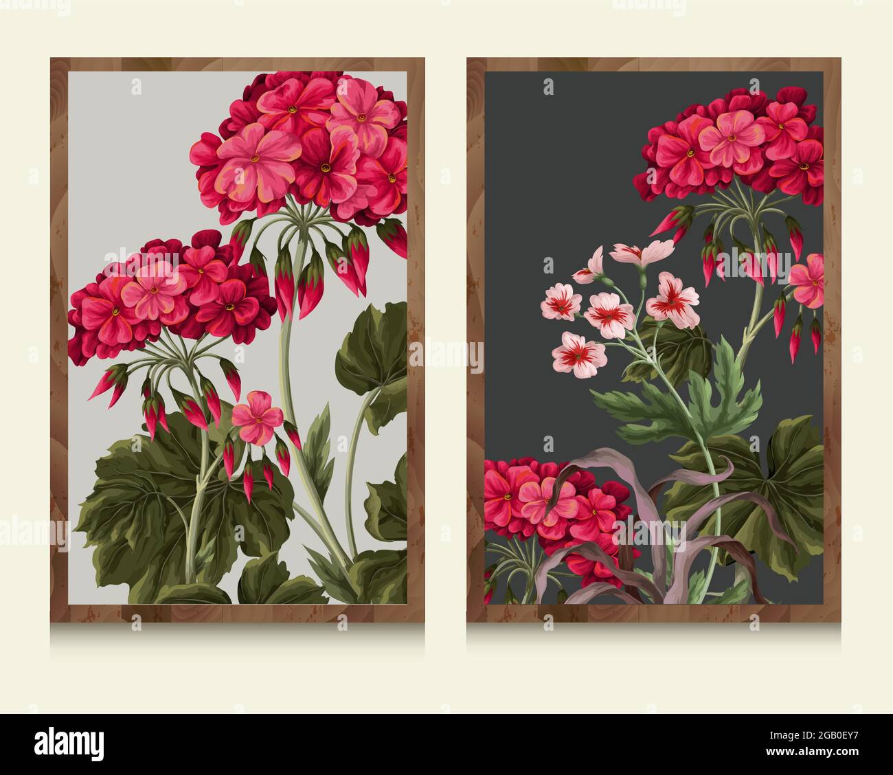 Botanical geraniums and wild flowers within the framework. Vector Stock ...