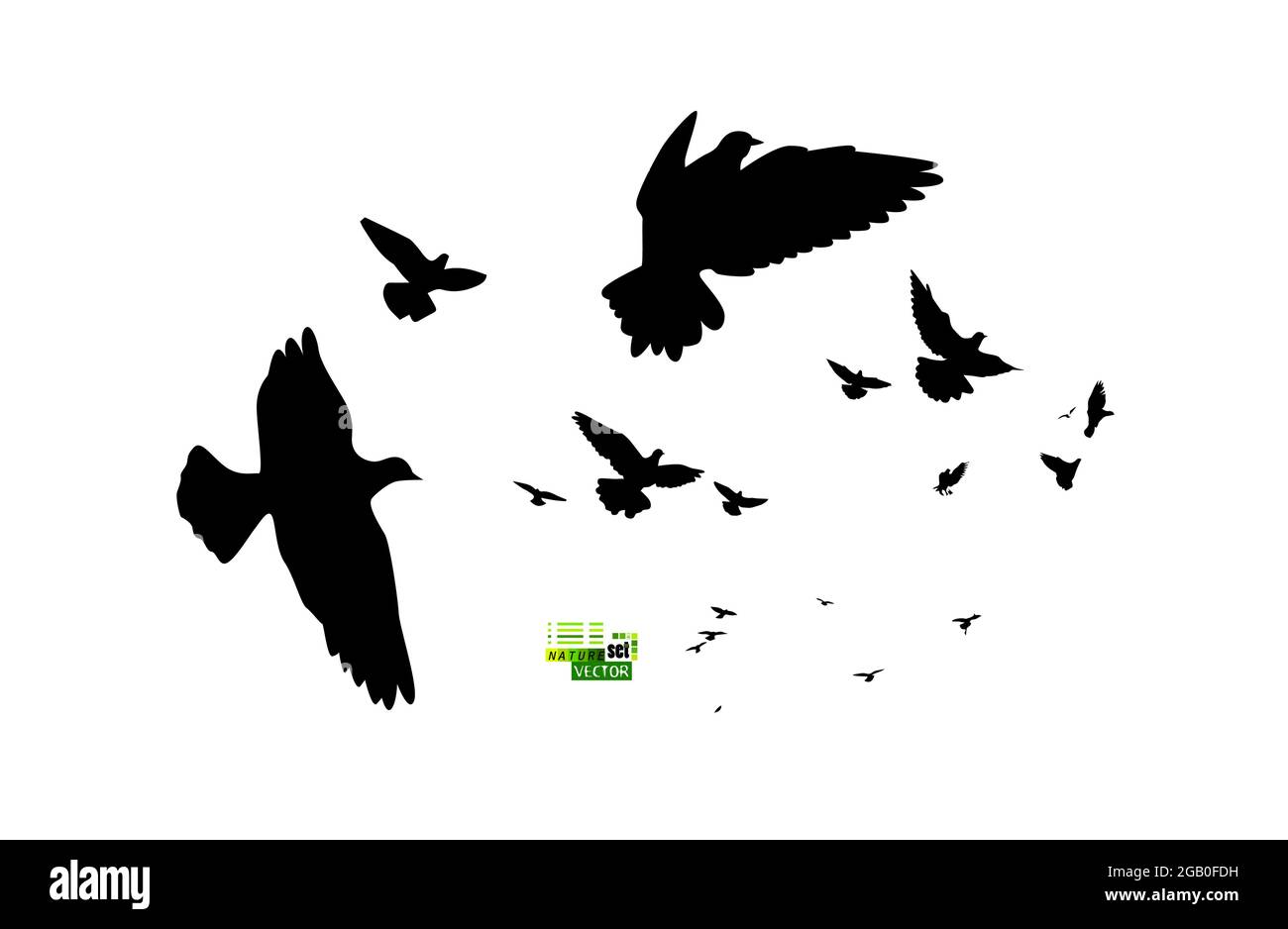 A flock of flying birds. Vector Stock Vector Image & Art - Alamy