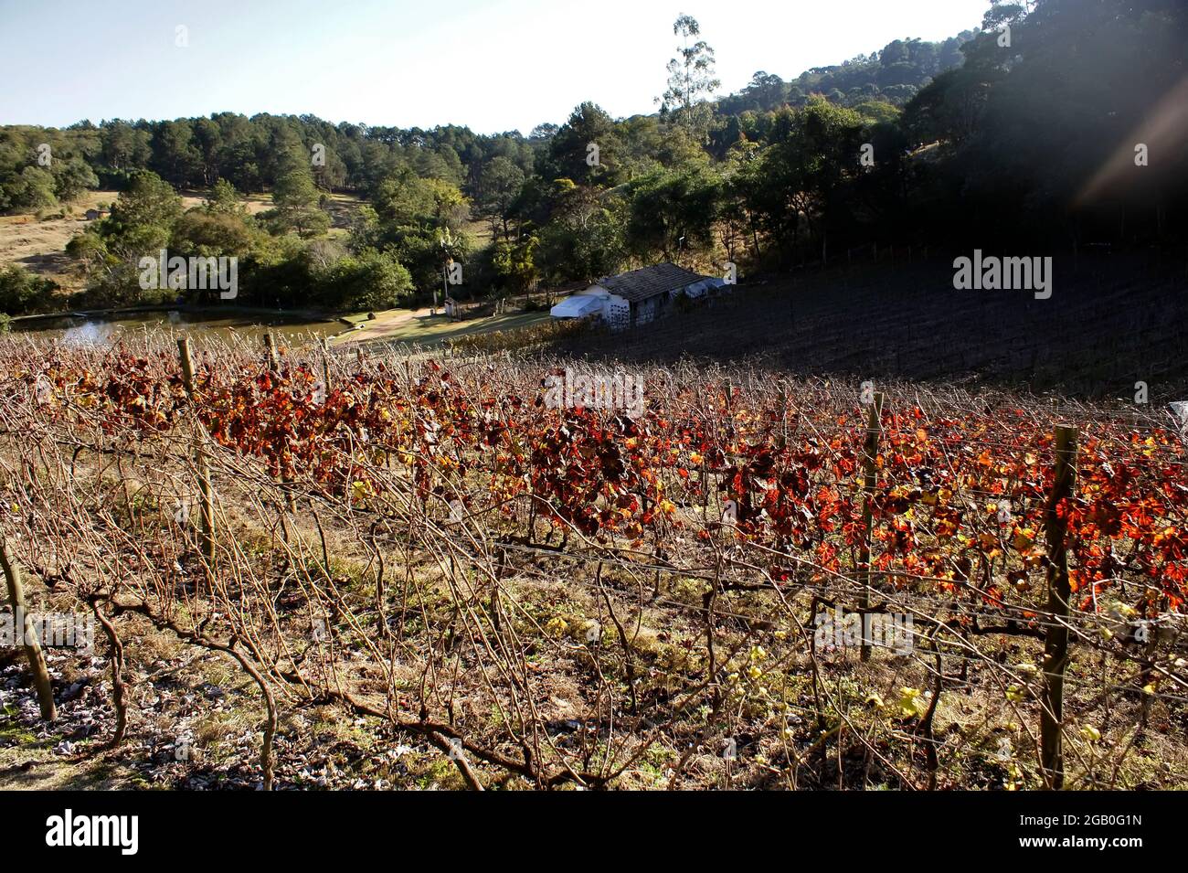 Brazil countryside hi-res stock photography and images - Alamy