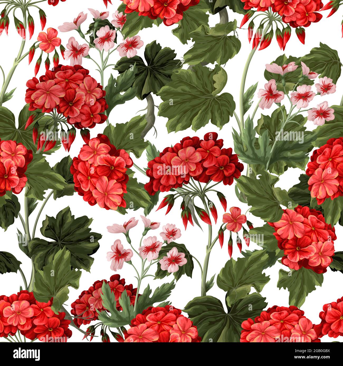 Seamless pattern with geraniums and wild flowers. Trendy floral vector ...