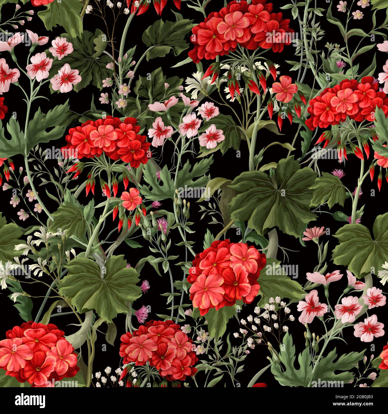 Geranium meadow Stock Vector Images - Alamy