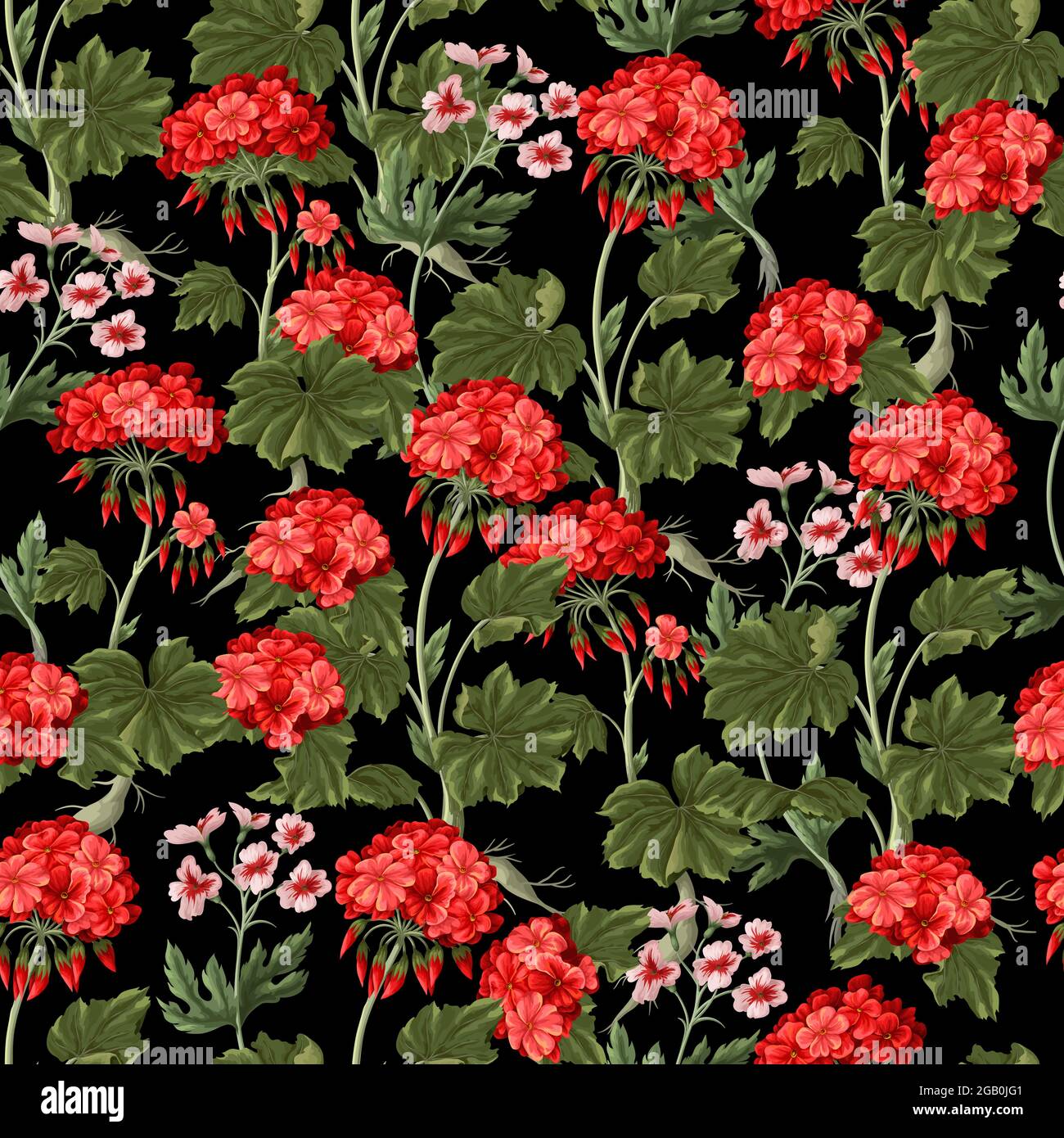 Seamless pattern with geraniums and wild flowers. Trendy floral vector ...