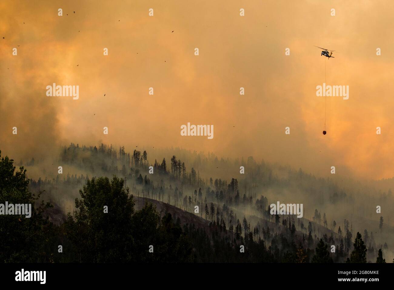 A helicopter provides water drops on the Dixie fire as the sunsets. The ...
