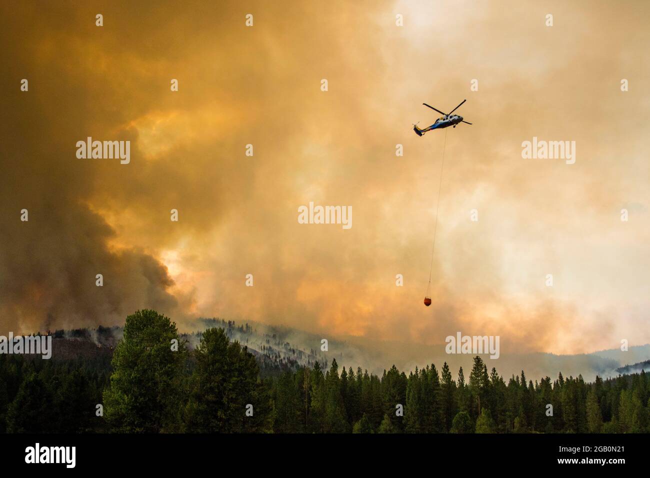 United States. 31st July, 2021. A helicopter provides water drops on ...