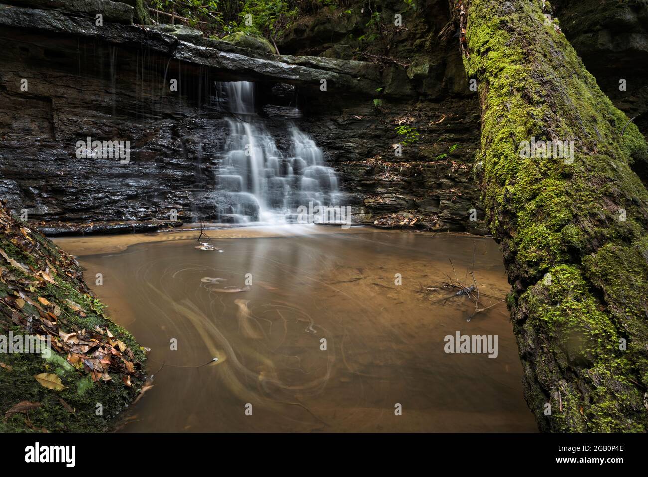 waterfall and tree trunk in the forest with a pool of water Stock Photo ...