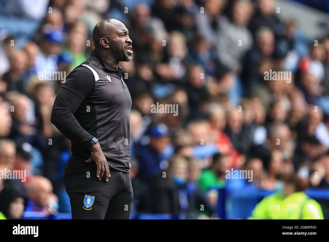 Darren Moore manager of Sheffield Wednesday gives his team instructions ...