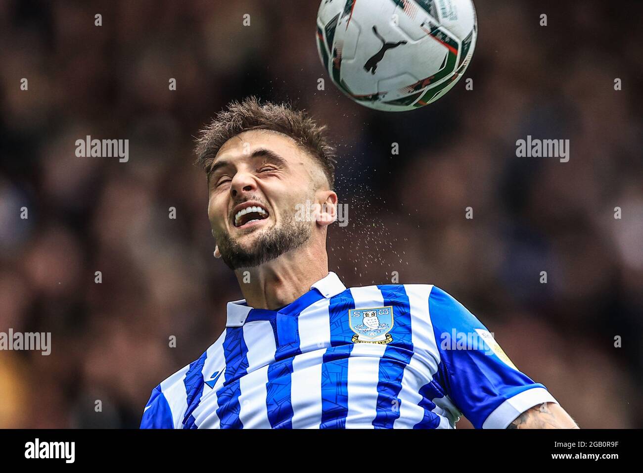 Lewis Wing #26 of Sheffield Wednesday heads the ball during the game ...