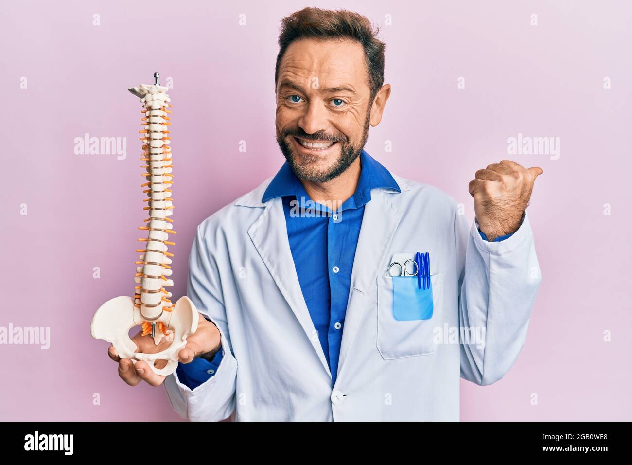 Middle age doctor man holding anatomical model of spinal column ...