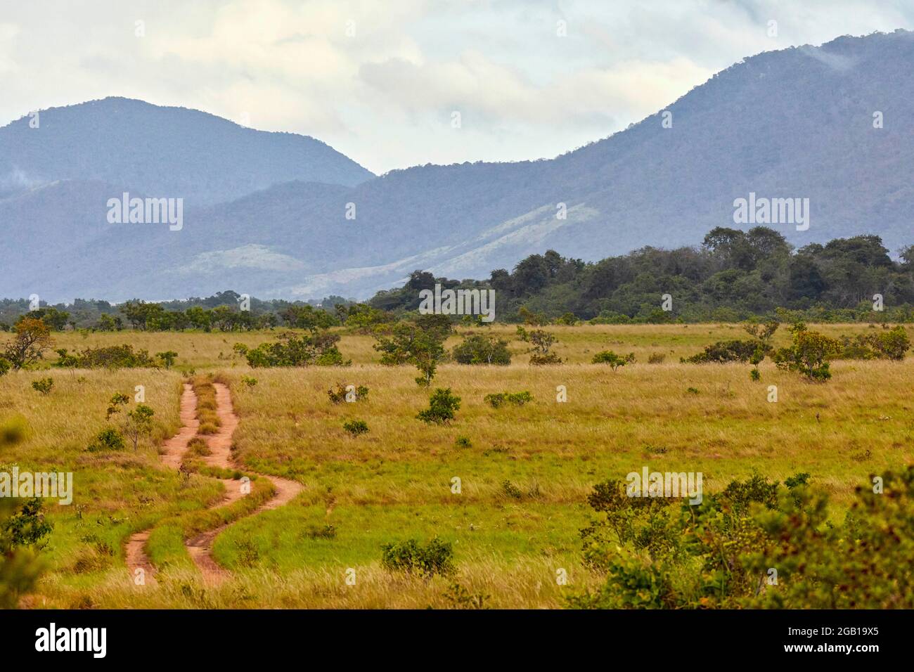 Dirt Road in Rupununi Savanna with Pacaraima Mountains in the ...