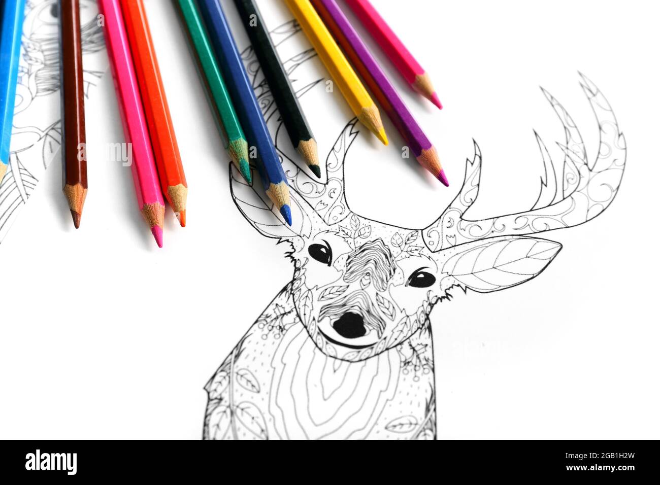 Doodle drawing of deer and colour pencils Stock Photo - Alamy
