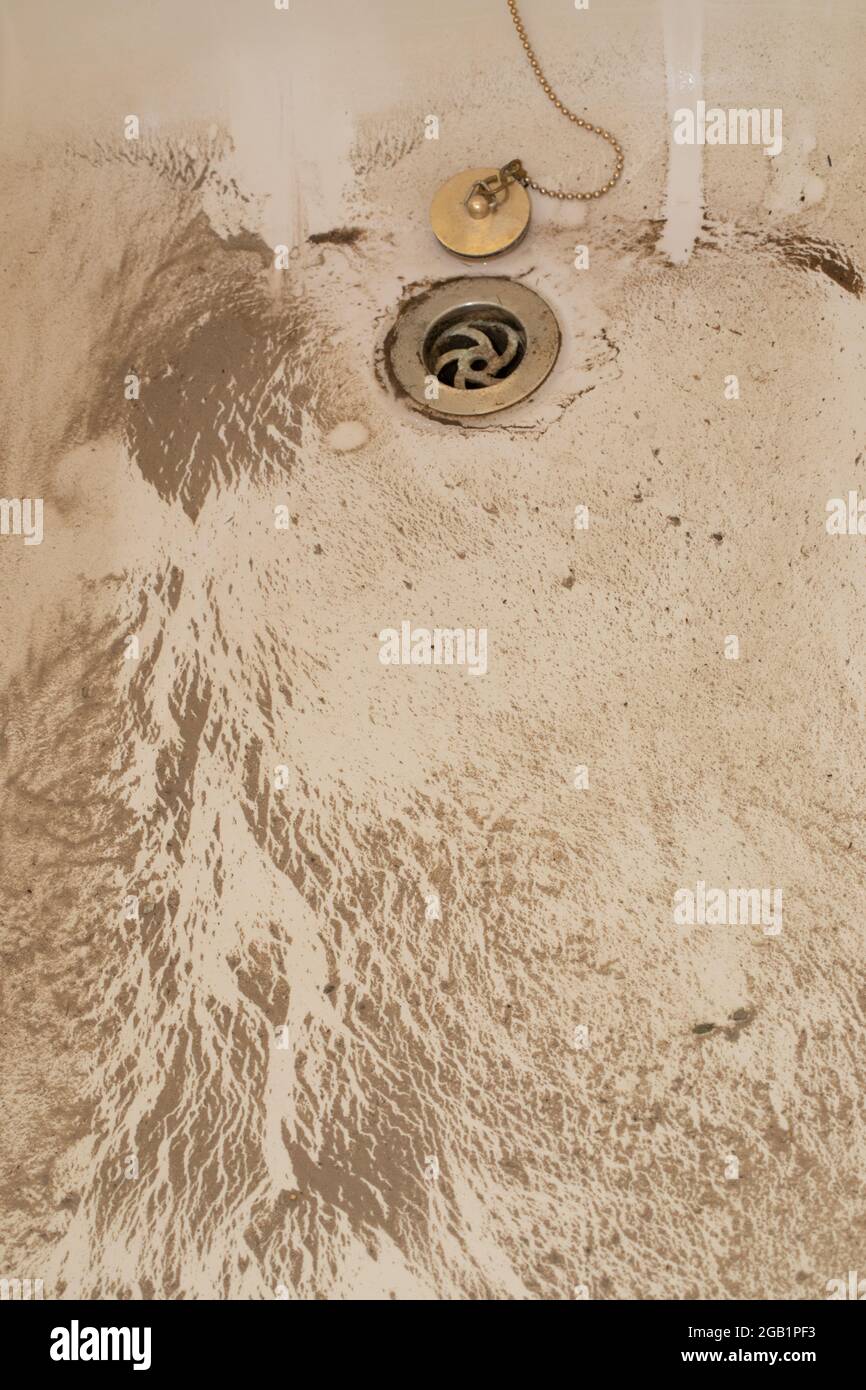 Diverging branches hi-res stock photography and images - Alamy