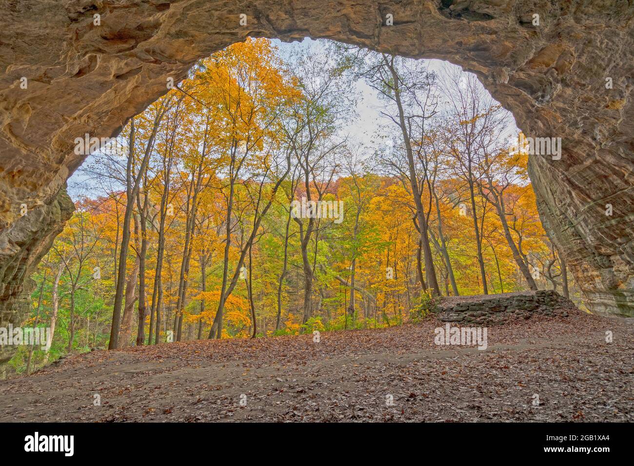 Looking at the Fall Colors From a Cave in Starved Rock State Park in ...