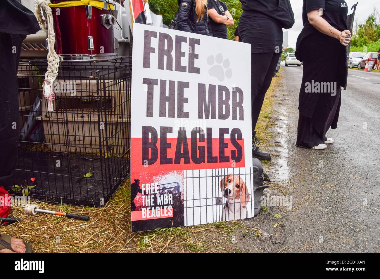 Huntingdon, UK. 01st Aug, 2021. A 'Free The MBR Beagles' placard is ...