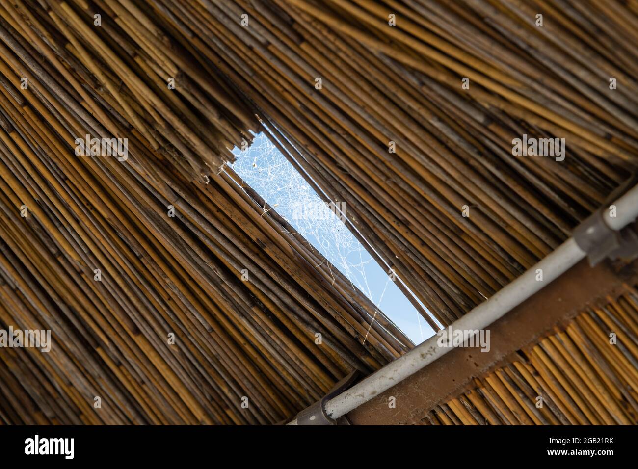Ceiling cobweb hi-res stock photography and images - Alamy