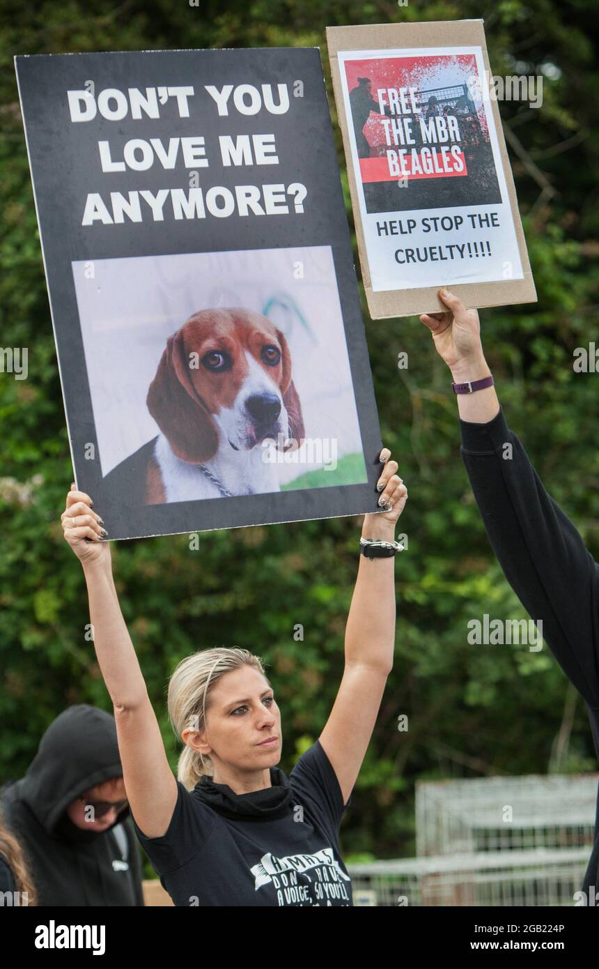 Protesters hold placards during the demonstration. Protesters from all ...