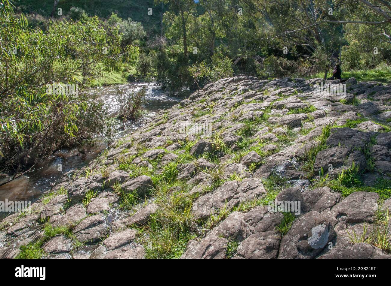 Tesselated Pavement (columnar basalt) at Organ Pipes National Park ...