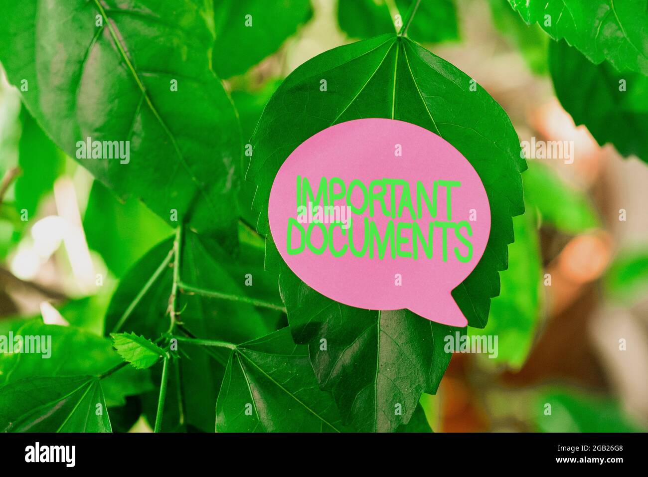 Inspiration showing sign Important Documents. Internet Concept more ...