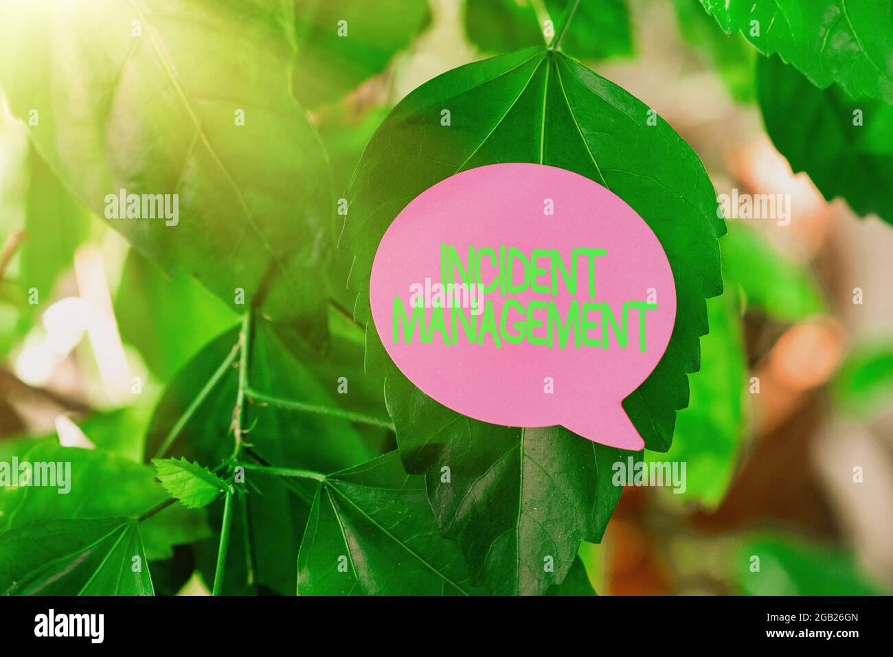 Text showing inspiration Incident Management. Business concept ... Text showing inspiration Incident Management. Business concept ...