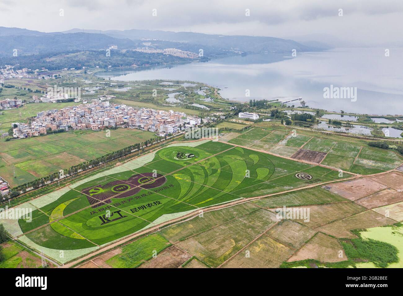 Colorful rice fields in Yunnan, China Stock Photo - Alamy