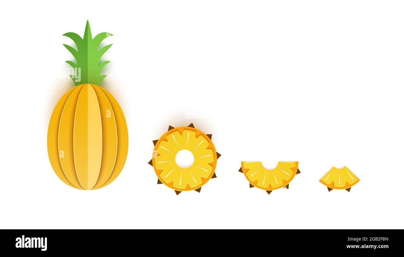 Set of pineapple sliced paper citrus fruit sliced whole, triangular and ...