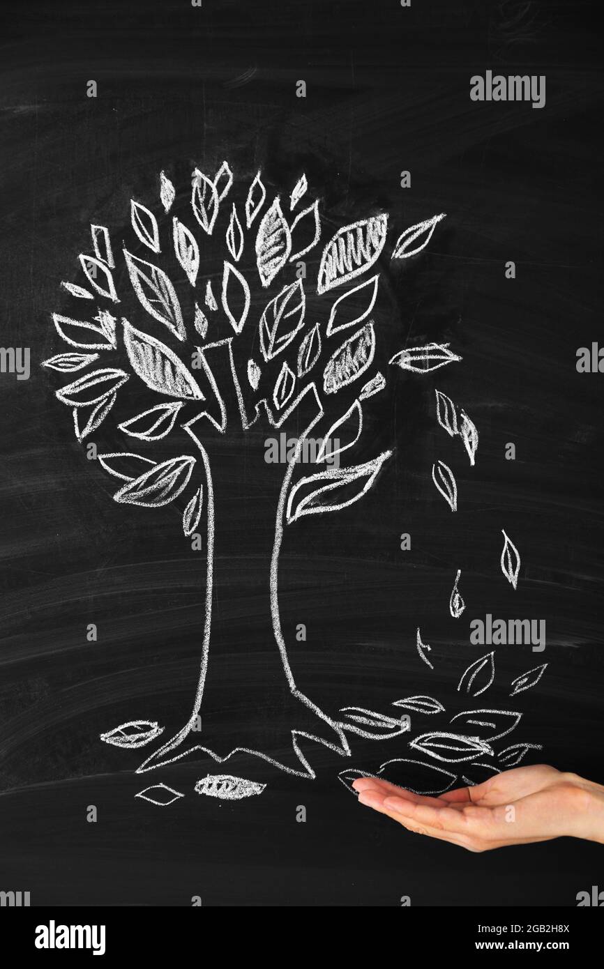 Photo of hand catching leaves painted on chalkboard Stock Photo - Alamy