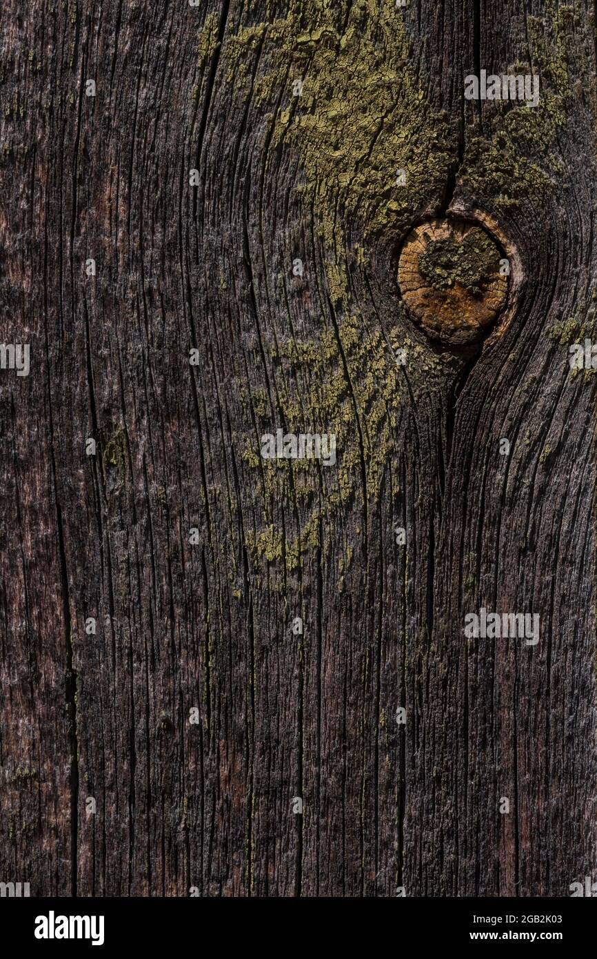 close up of dark old wooden plank with knot Stock Photo - Alamy