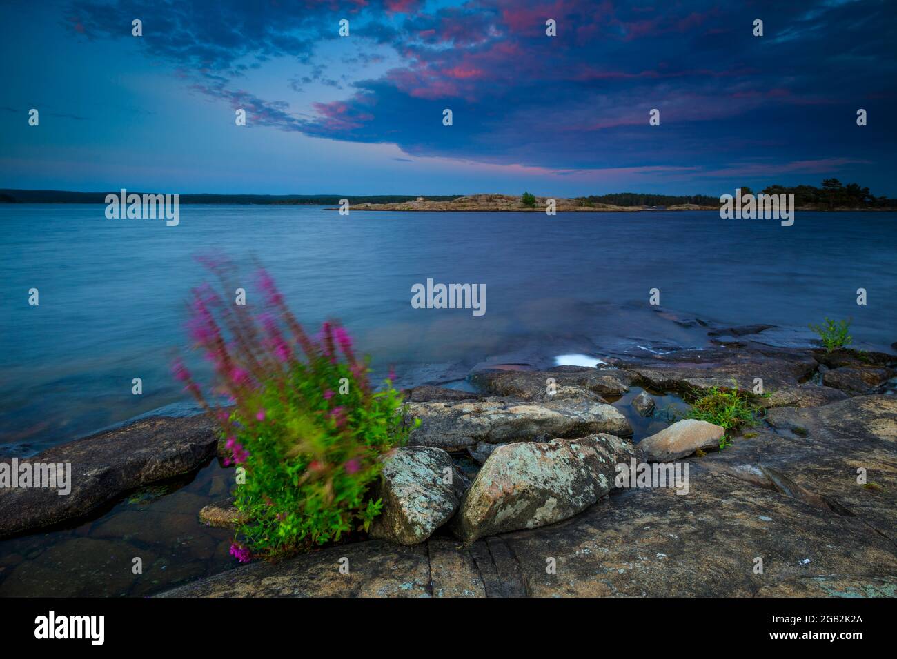 Morsa images hi-res stock photography and images - Alamy
