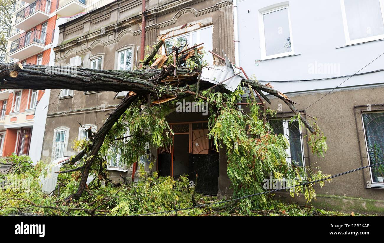 Hurricane CHRISTIE. Heavy rain and gale - force gusts of wind caused ...