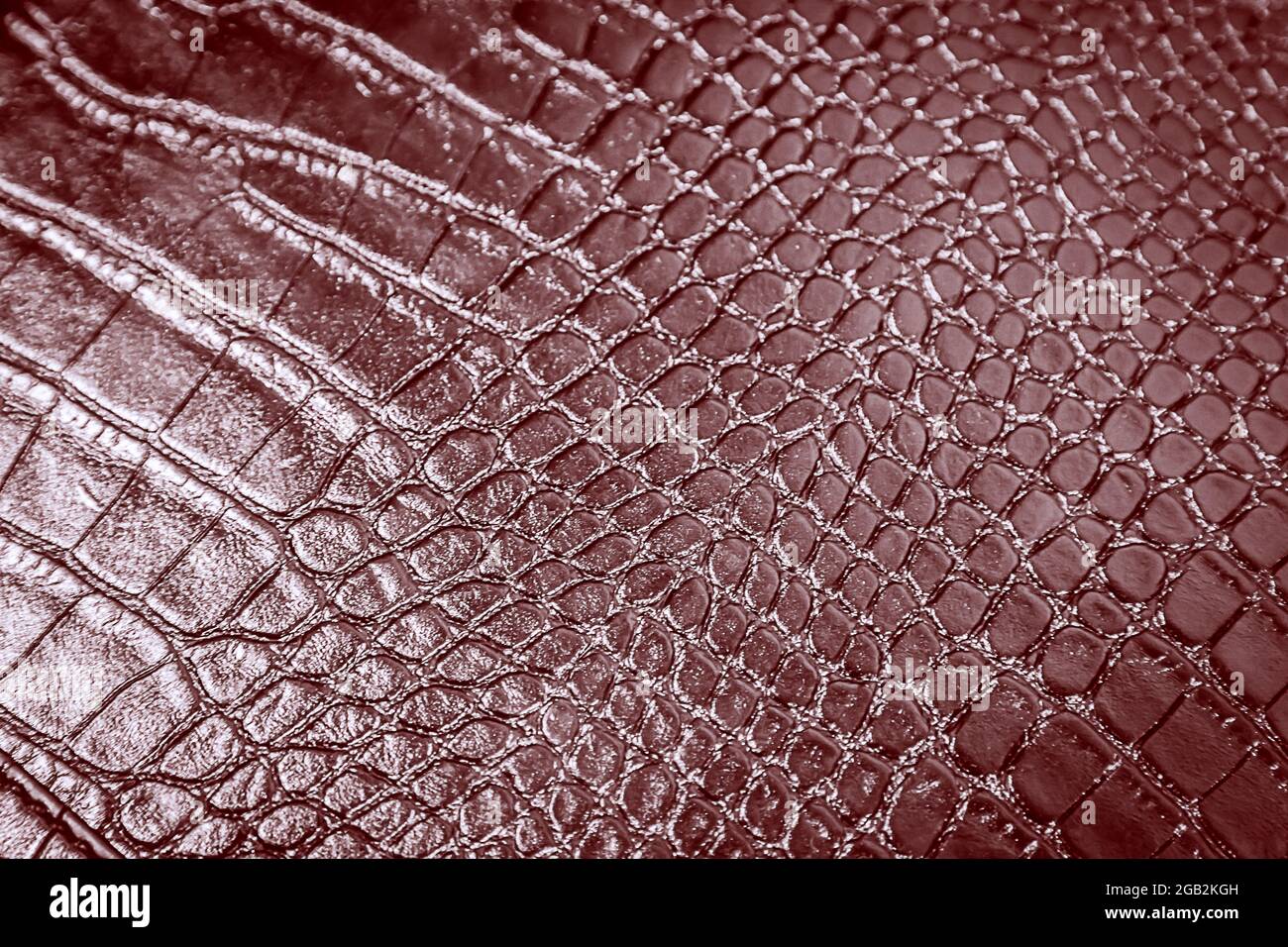 snake skin in black colour Stock Photo - Alamy