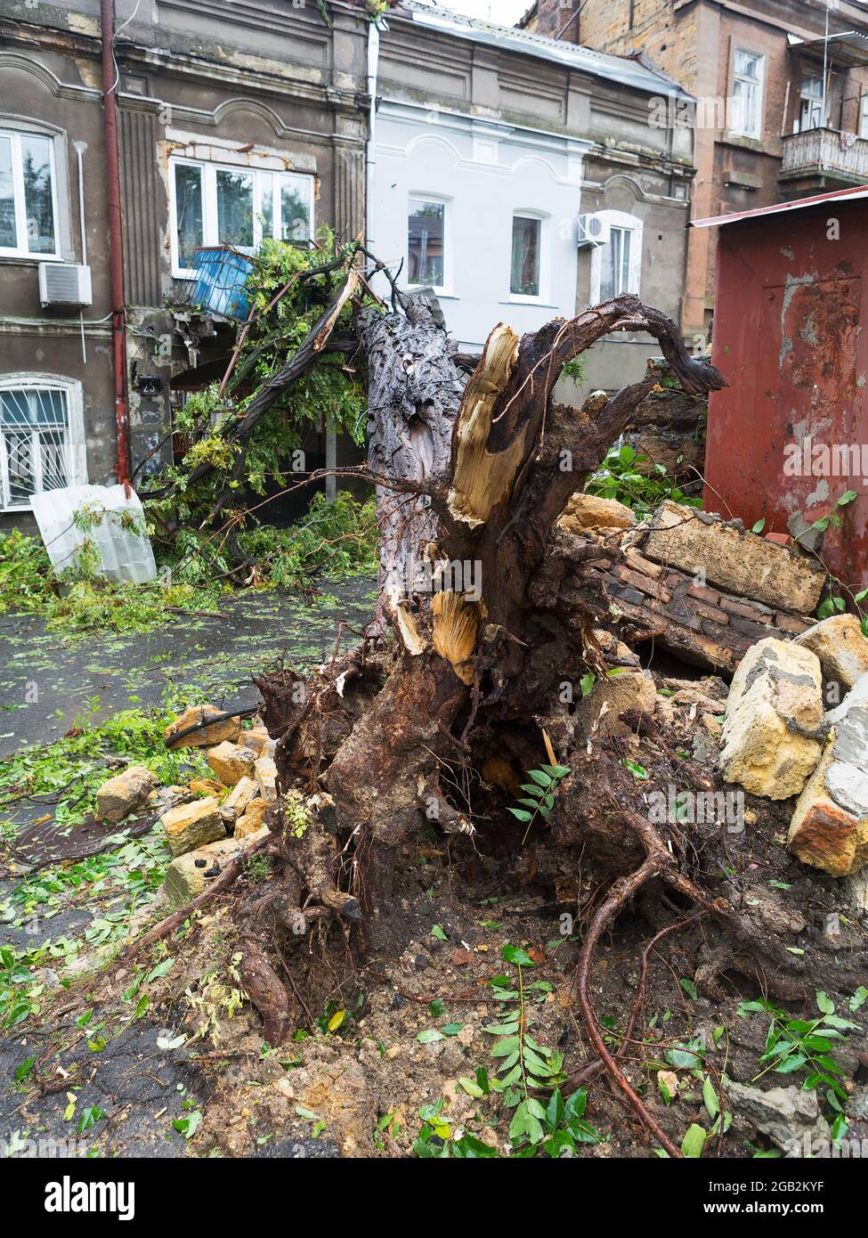 Hurricane CHRISTIE. Heavy rain and gale - force gusts of wind caused ...