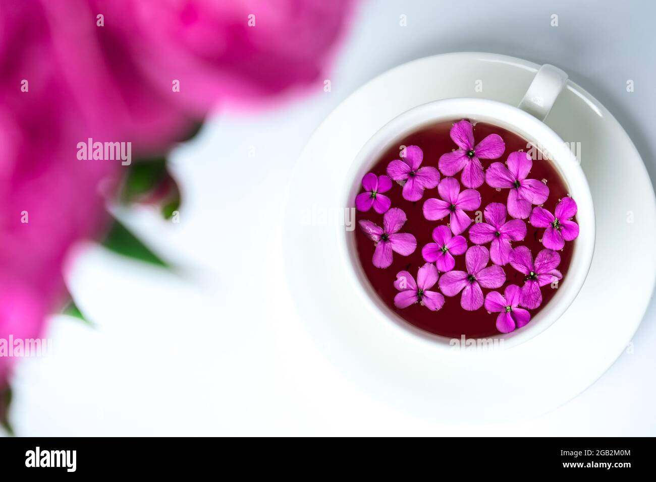 Creative layout with pink peonies flowers and cup of tea on bright ...