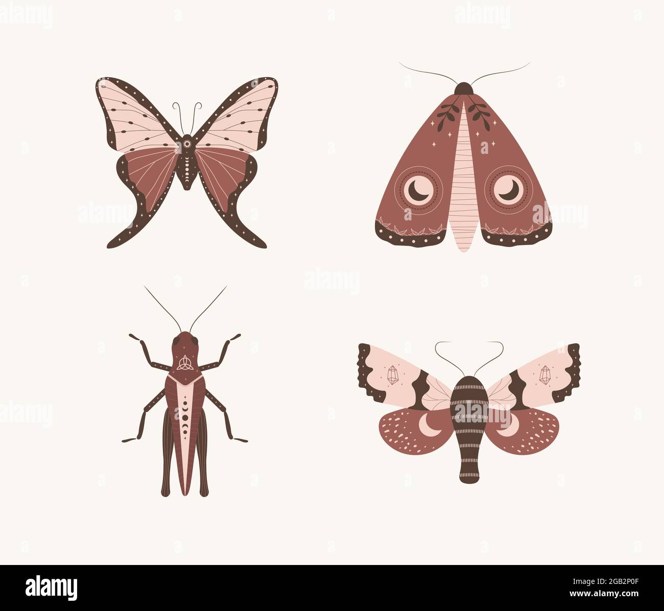 Insects in bohemian style. Abstract hand drawn moth, butterfly and ...