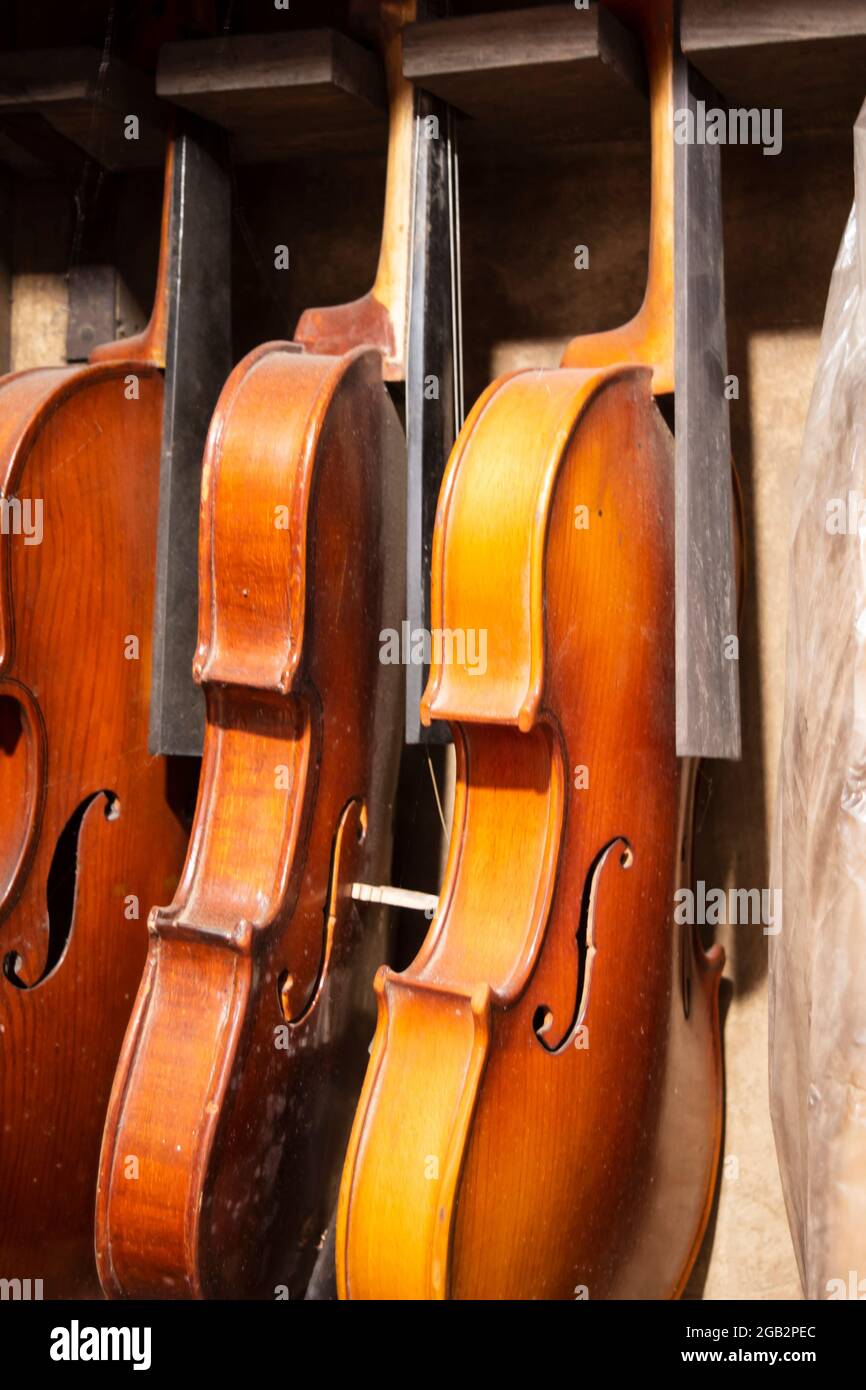 Many violins are hanging in a musical shop for ready to sell Stock ...