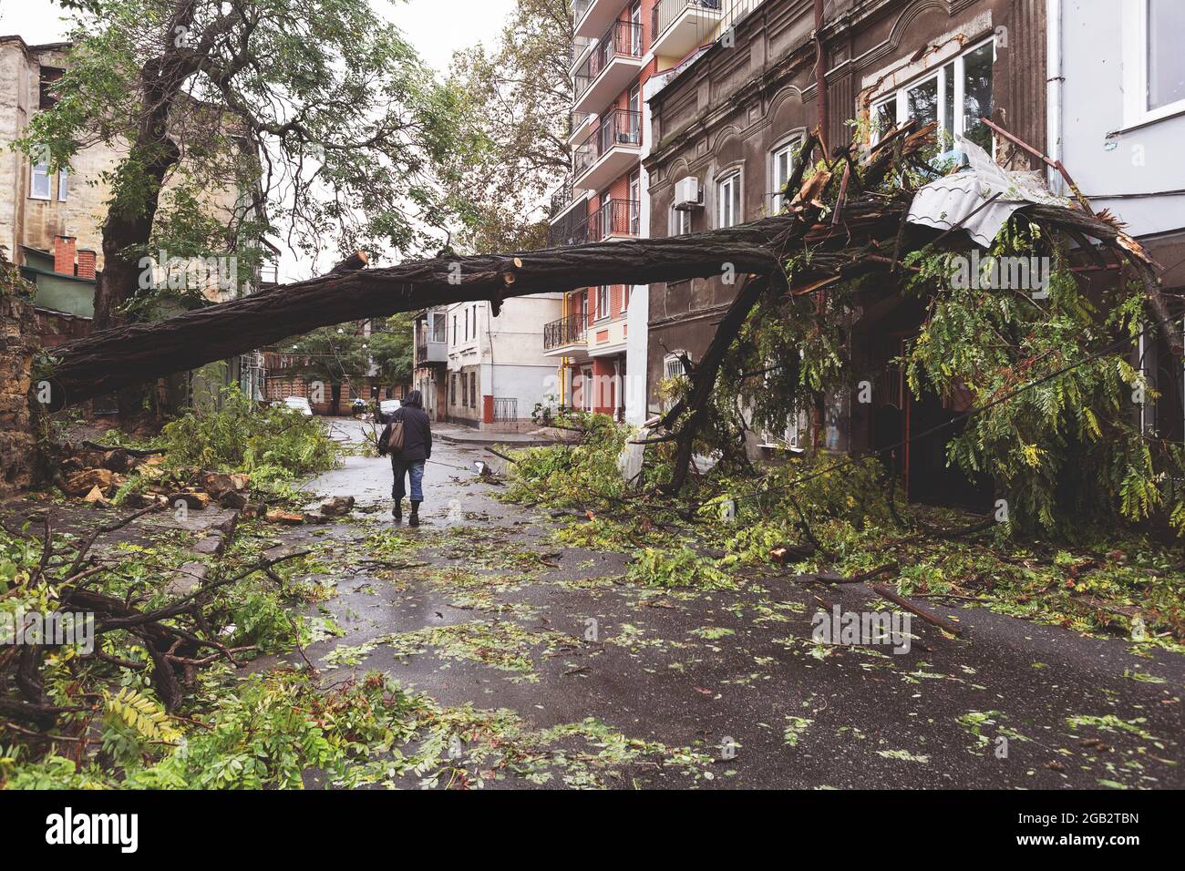 Hurricane CHRISTIE. Heavy rain and gale - force gusts of wind caused ...