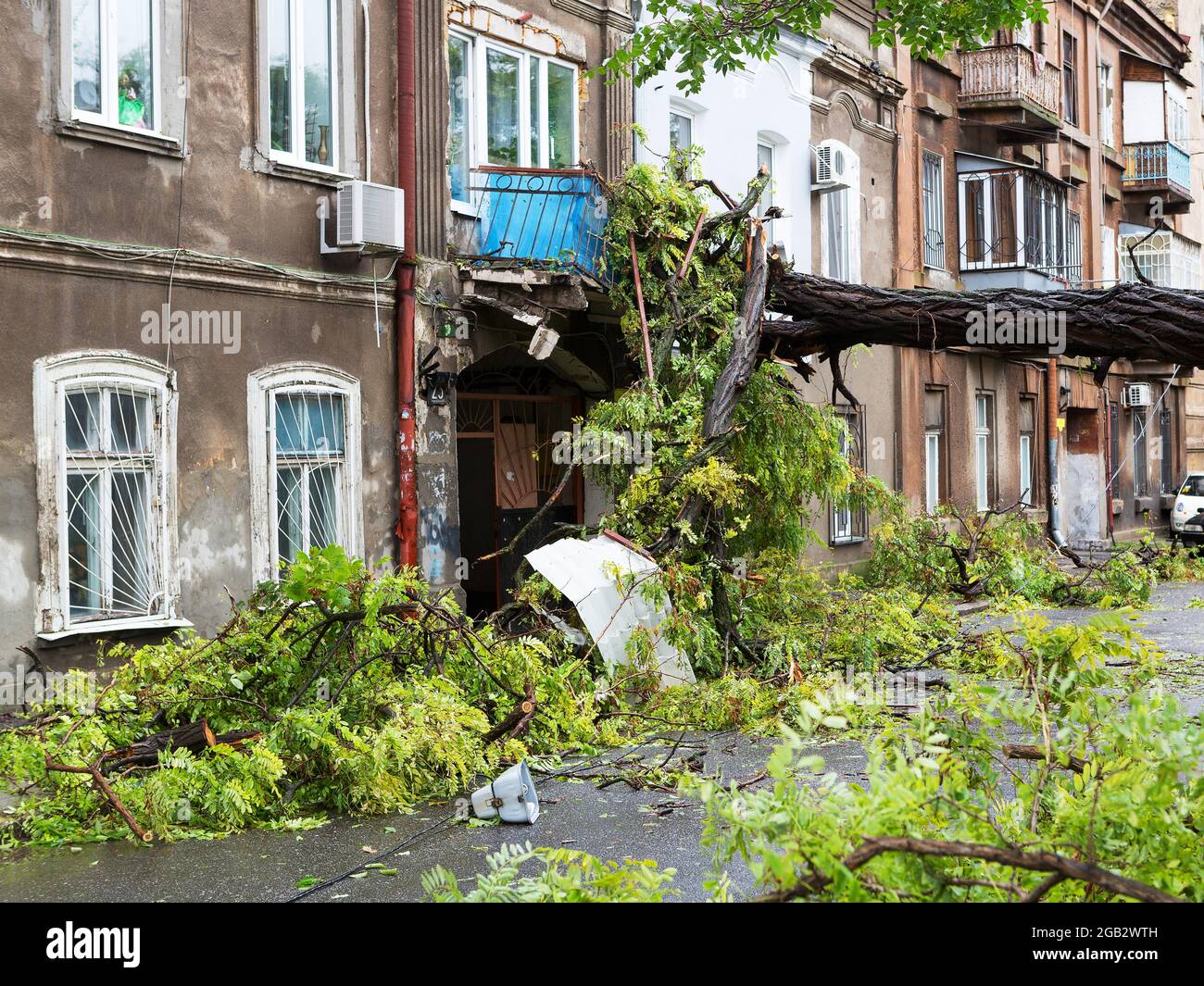 Hurricane CHRISTIE. Heavy rain and gale - force gusts of wind caused ...