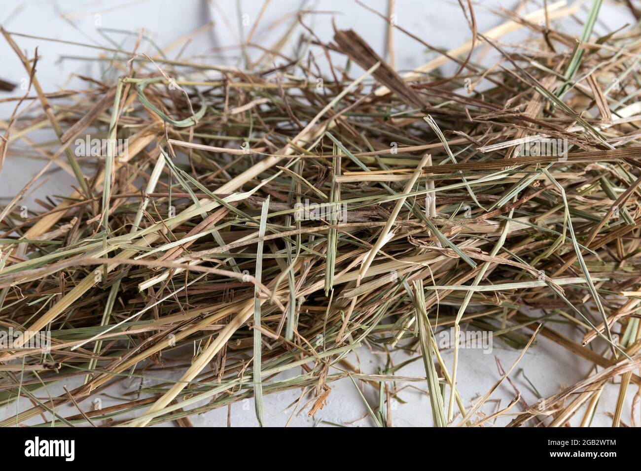 Hay from the alps for hamsters and rabbits Stock Photo - Alamy