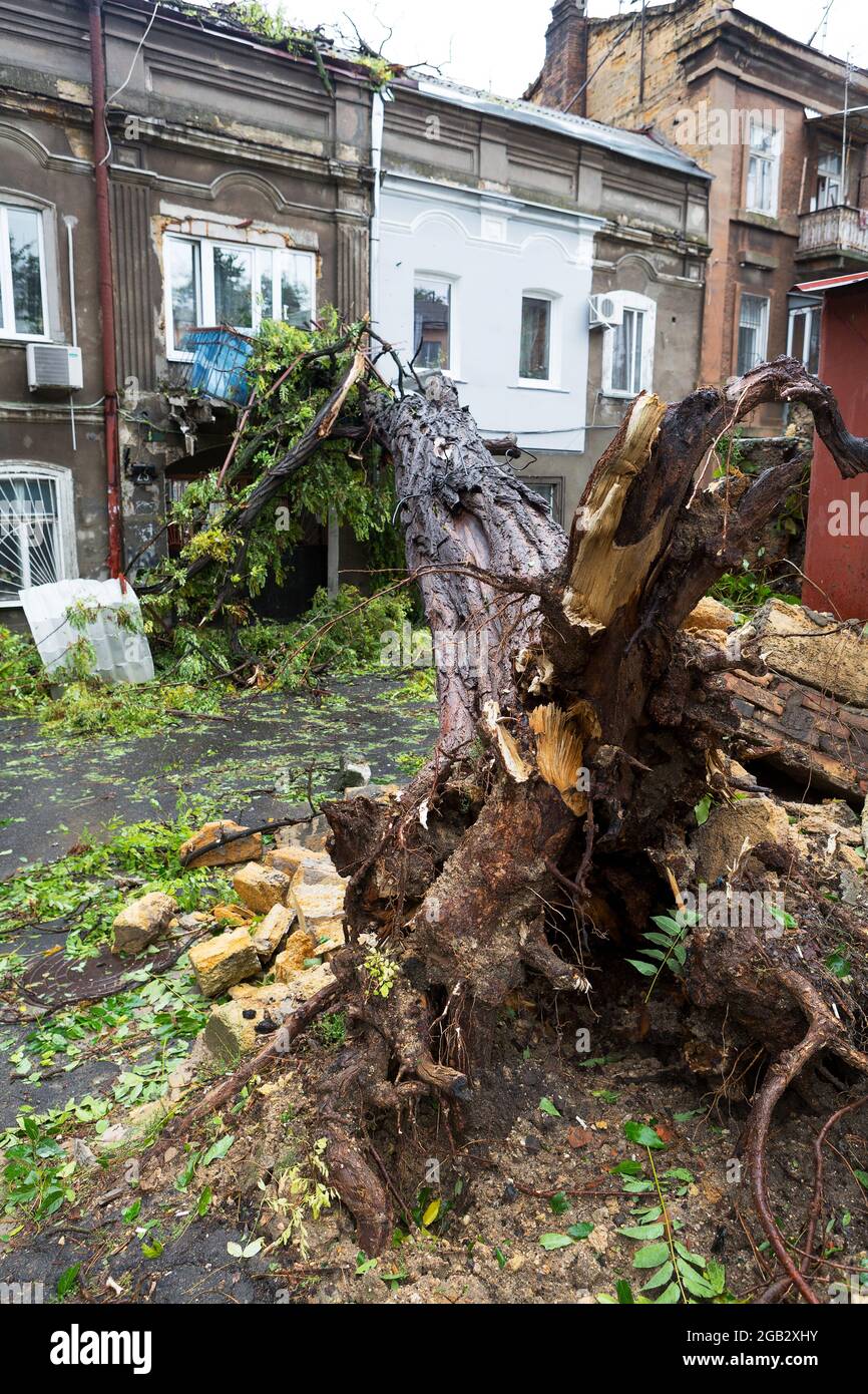 Hurricane CHRISTIE. Heavy rain and gale - force gusts of wind caused ...