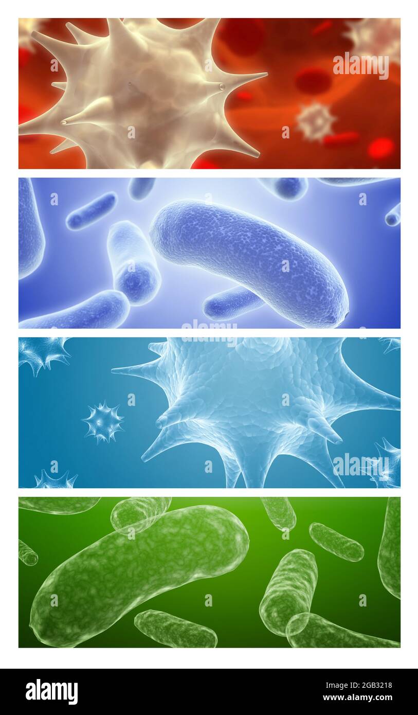 Collection of horizontal banners with pathogenic bacterias and viruses ...