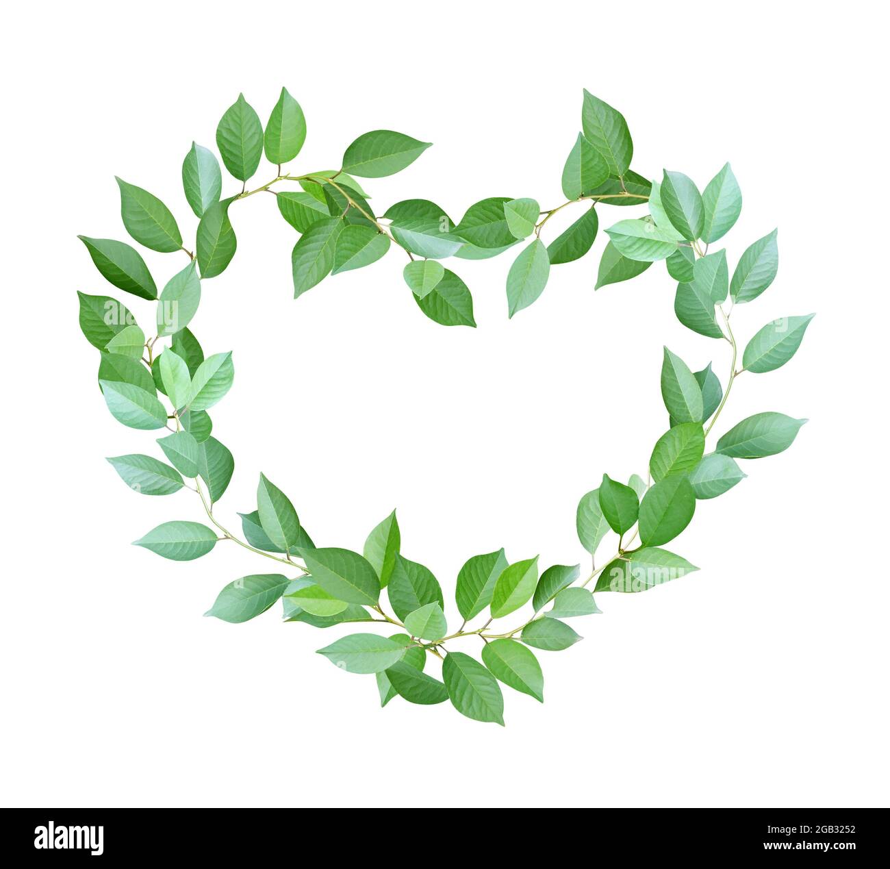 Bio and ecology concept. Heart made from branches with green leaves ...