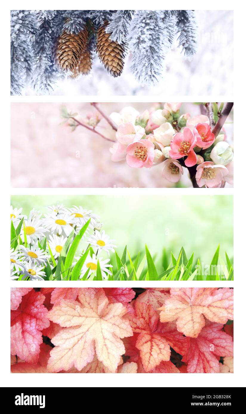 Spring scenes Cut Out Stock Images & Pictures - Alamy