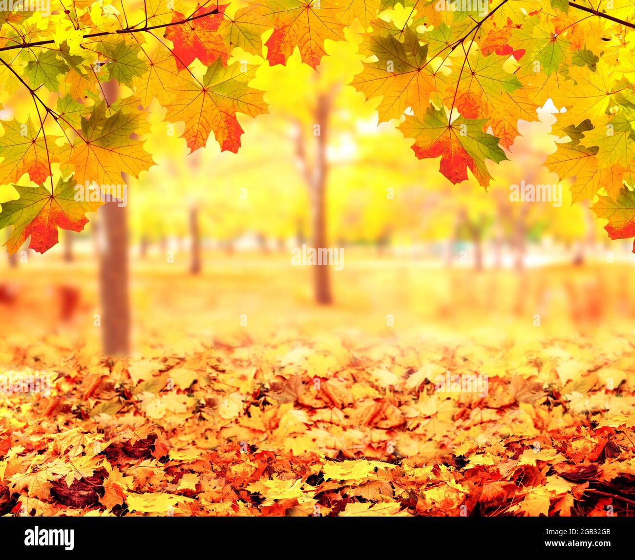 Peaceful Fall Images