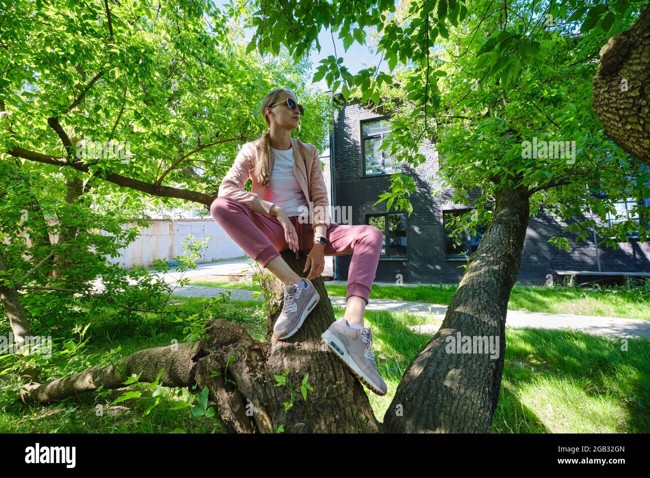 Tree trunk legs hi-res stock photography and images - Alamy