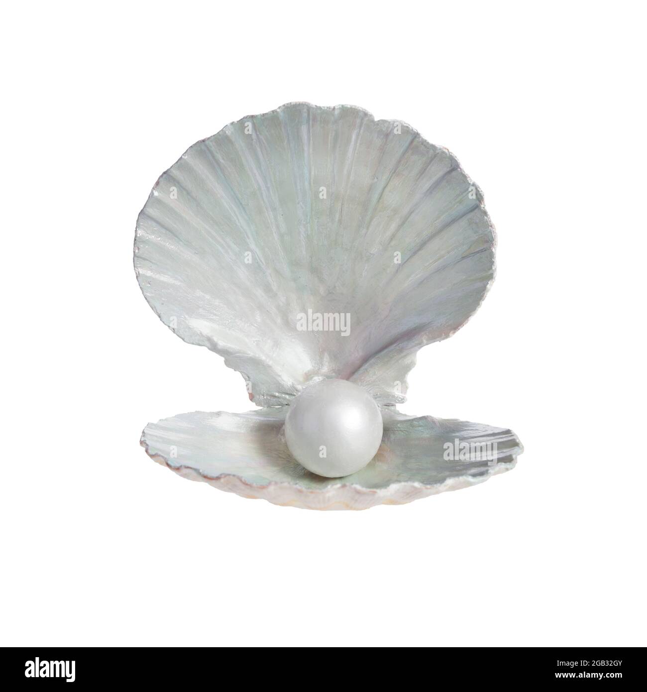 Pearl inside seashell isolated on white background Stock Photo - Alamy