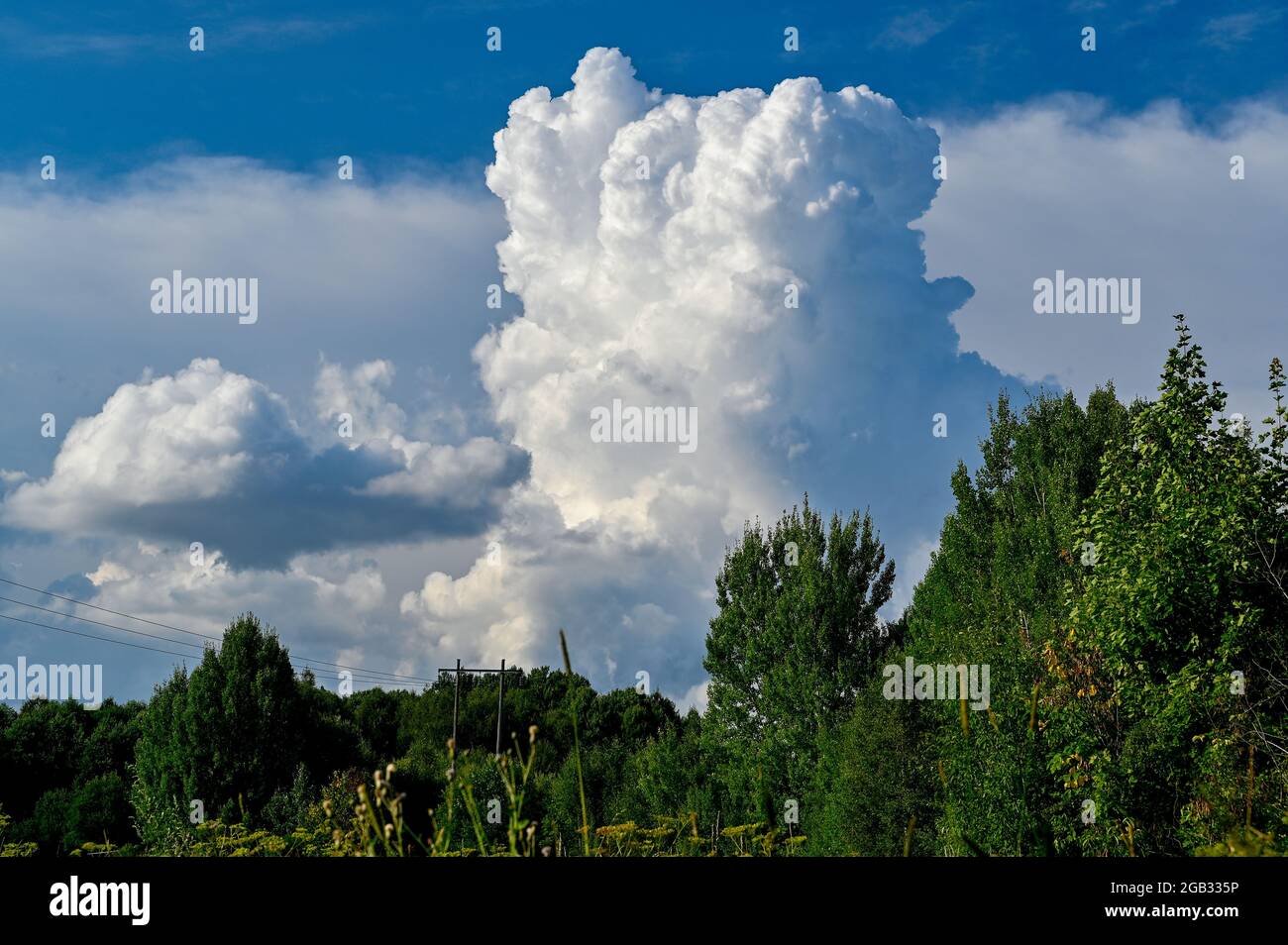 cloudy blue and grey sky over green forest Stock Photo - Alamy