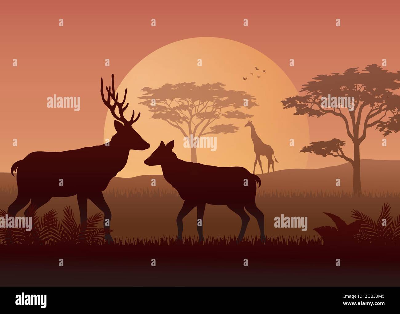 African animals in sunset Stock Vector Images - Alamy